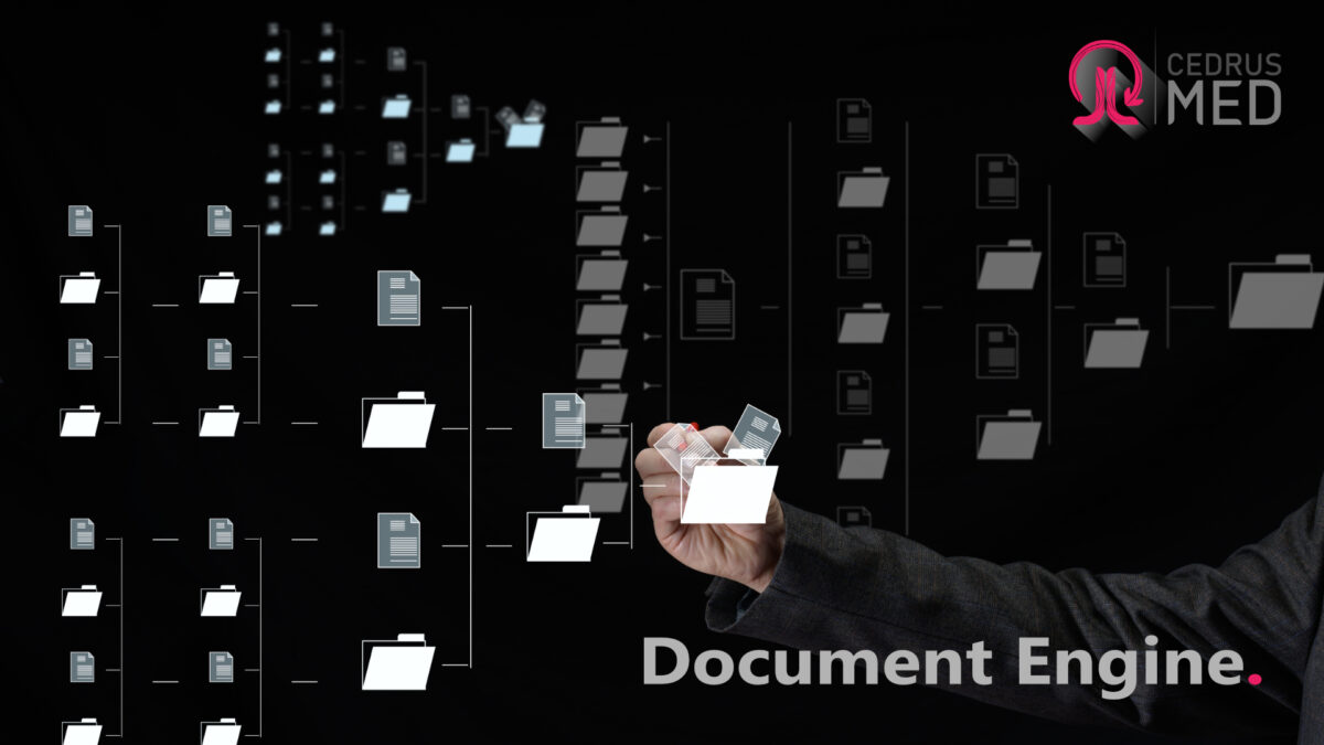 Exploring the CedrusMed Document Engine | CedrusMed Exploring the ...
